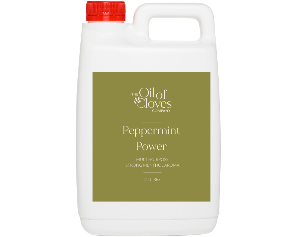Peppermint Power Surface Spray 2L, Box - 10 units – The Peppermint Oil ...